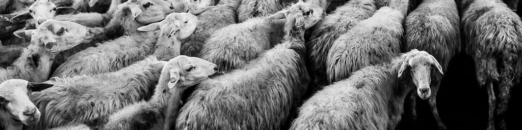 Compress Your Images - Andy Croll